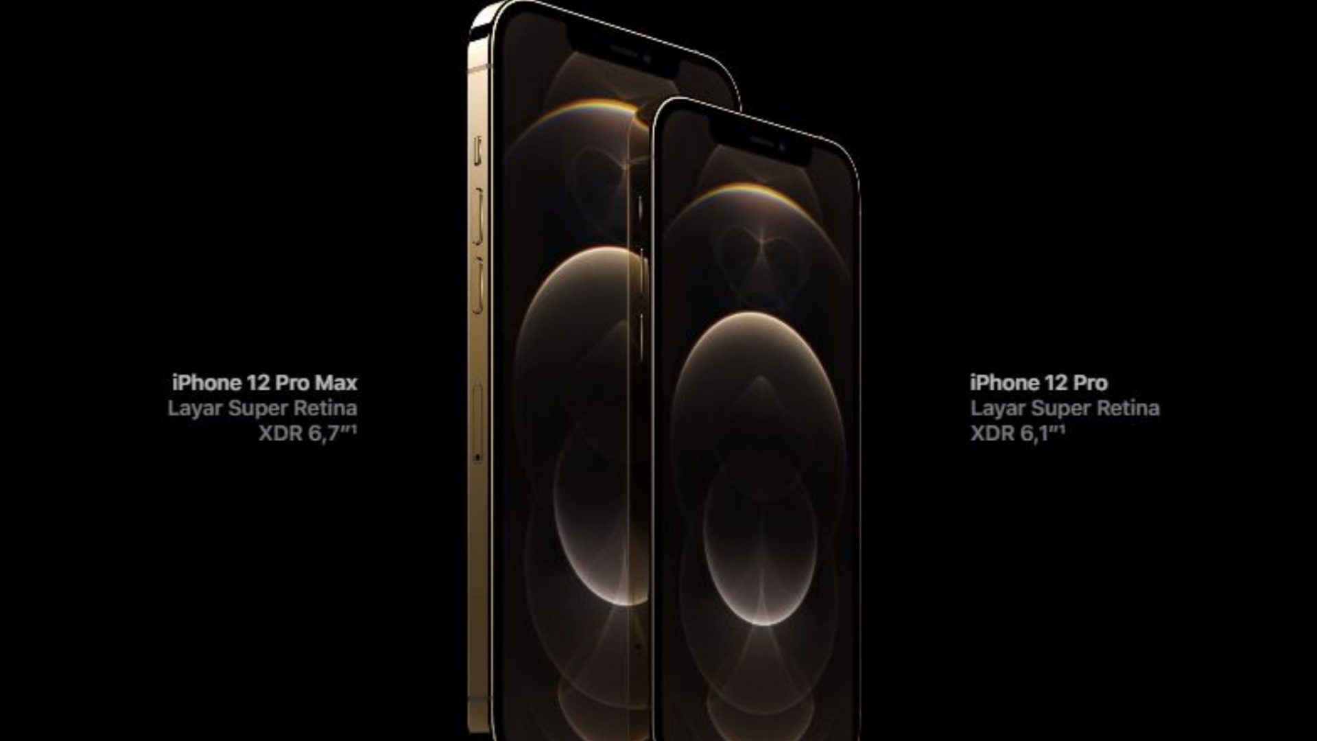 Spesifikasi iPhone 12 Pro Max - Sinyal Pedia